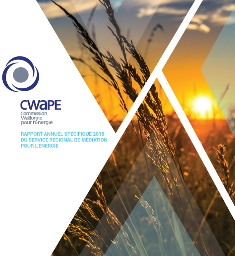 First decade of existence of the regional mediation service of Wallonia ...